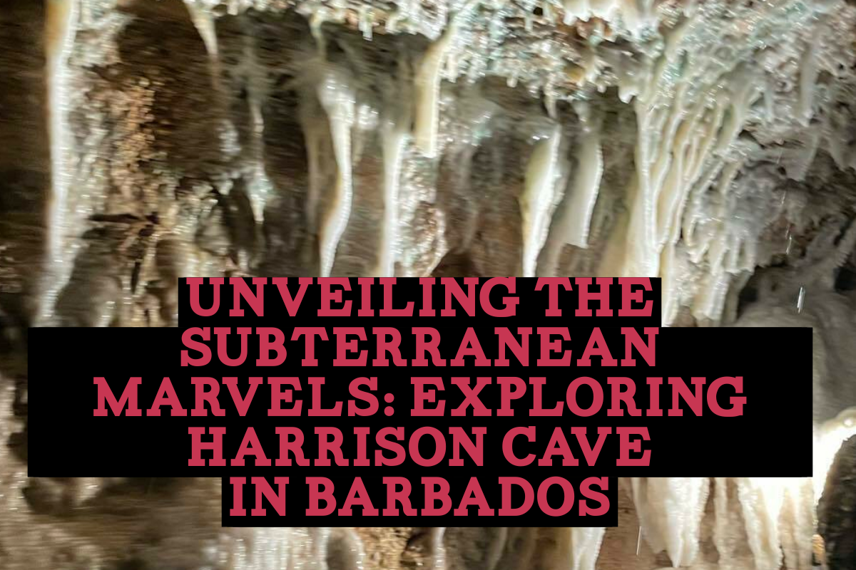 Unveiling the Subterranean Marvels: Exploring Harrison Cave in Barbados ...