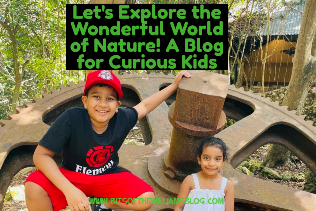 Let’s Explore the Wonderful World of Nature! A Blog for Curious Kids ...